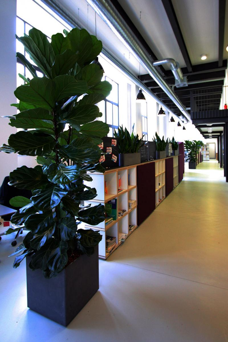 Deutsche Gesellschaft fur Hydrocultur - DGHK